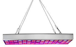 Závesné svietidlá | FAVI.sk