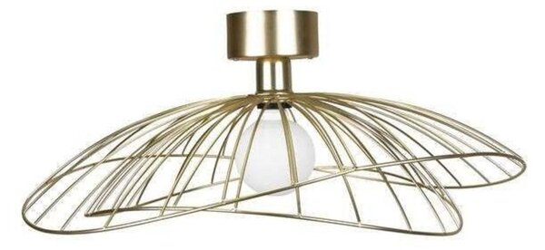 Globen Lighting Ray 60 Nástenné Svietidlo/Stropné Lampa Mosadz | FAVI.sk