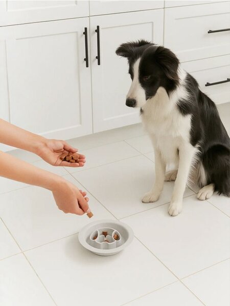 Sinsay - Miska pre psa - svetlošedá | FAVI.sk