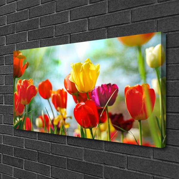 Obraz na plátne Kvet 100x50 cm | FAVI.sk