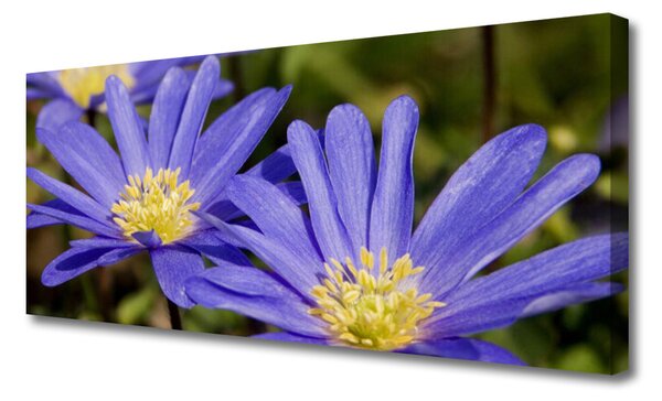 Obraz Canvas Kvety rastlina príroda 125x50 cm | FAVI.sk