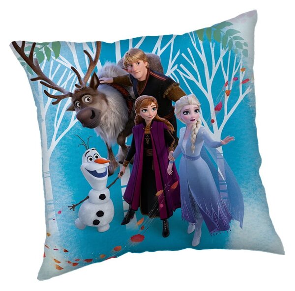 Fleecový detský vankúšik Frozen "Family" – Jerry Fabrics | FAVI.sk